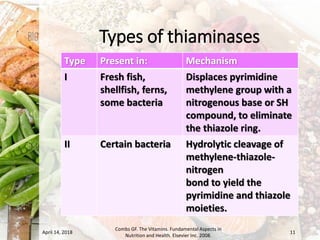 Significance and sources of thiamin | PPT