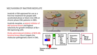 CHRONIC MYELOID LEUKEMIA | PPT