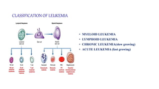 CHRONIC MYELOID LEUKEMIA | PPTX