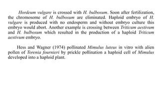 SIGNIFICANCE OF HAPLOIDS,DIPLOIDIZATION AND BULBOSUM TECHNIQUE.pptx
