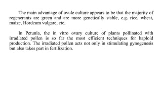 SIGNIFICANCE OF HAPLOIDS,DIPLOIDIZATION AND BULBOSUM TECHNIQUE.pptx