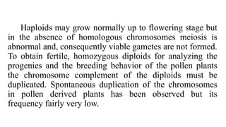 SIGNIFICANCE OF HAPLOIDS,DIPLOIDIZATION AND BULBOSUM TECHNIQUE.pptx