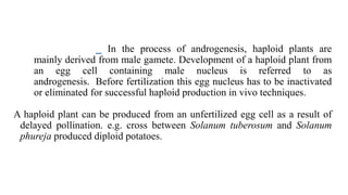 SIGNIFICANCE OF HAPLOIDS,DIPLOIDIZATION AND BULBOSUM TECHNIQUE.pptx
