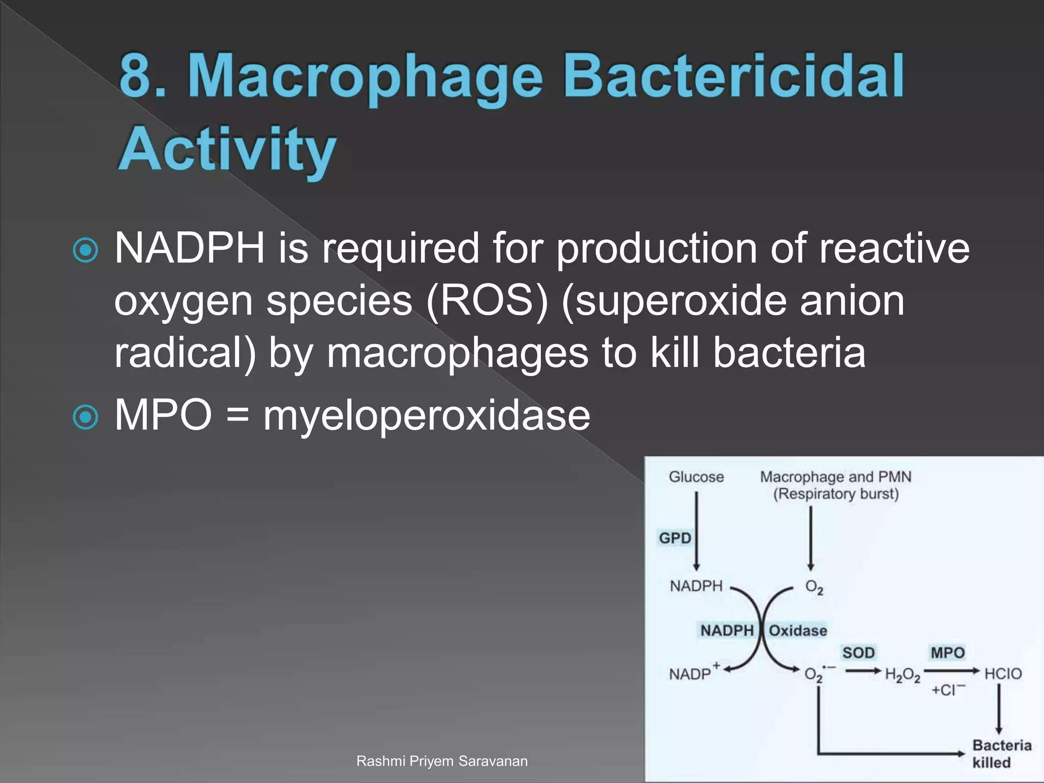 Significance of HMP Pathway | PPTX