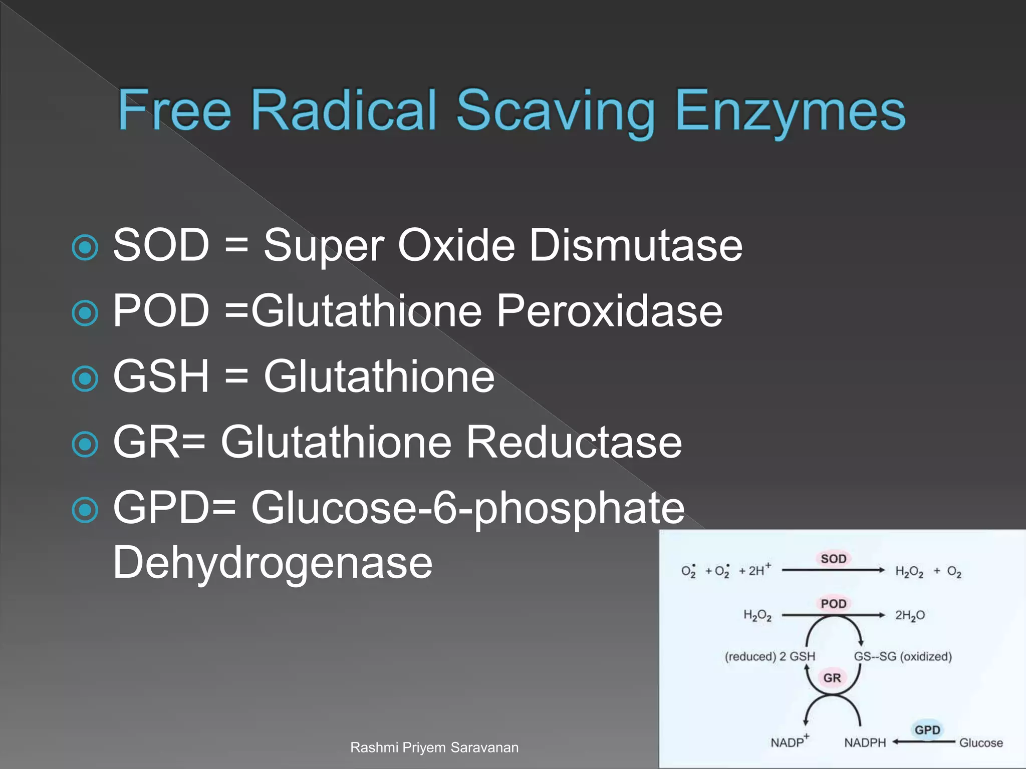 Significance of HMP Pathway | PPTX