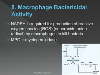 Significance of HMP Pathway | PPTX