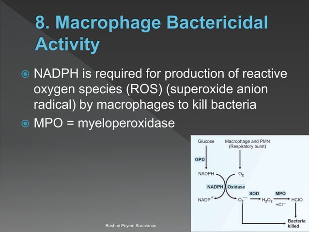 Significance of HMP Pathway | PPTX