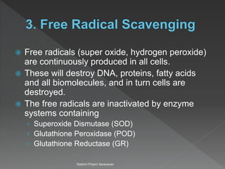 Significance of HMP Pathway | PPTX