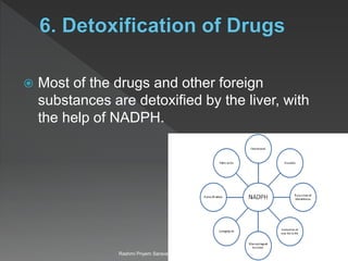 Significance of HMP Pathway | PPTX