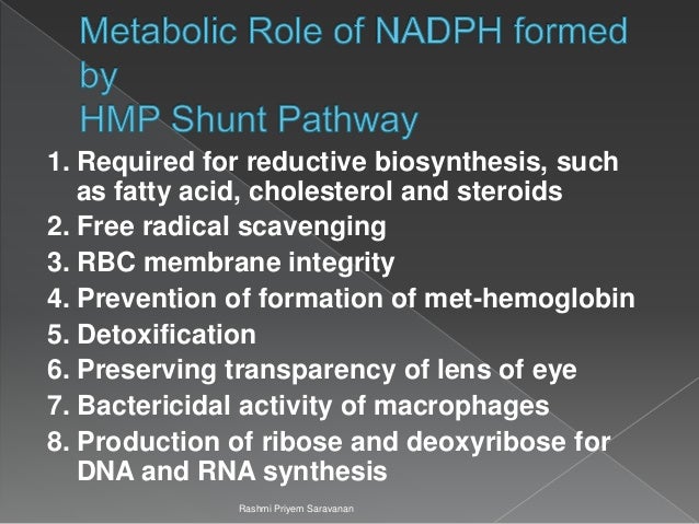 Significance of HMP Pathway