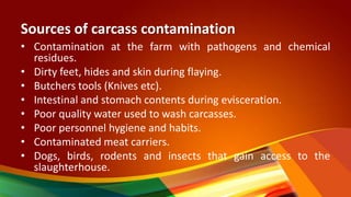 Significance of hygiene meat for public health | PPTX