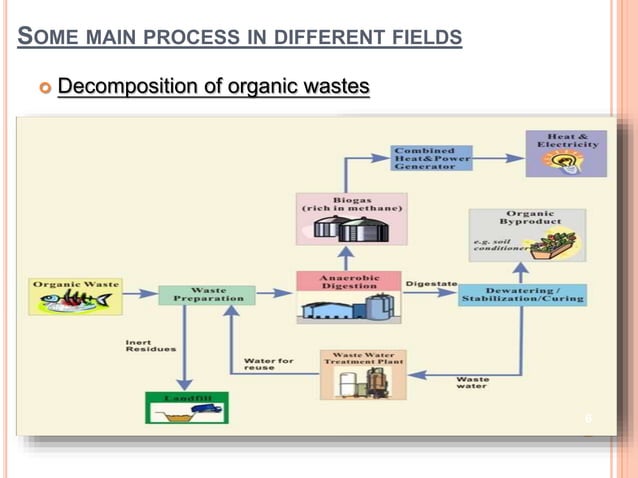Significance of microorganisms, Sagar Kumar Rajak | PPT Significance of microorganisms, Sagar Kumar Rajak | PPT