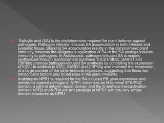 Significance of npr1 receptor | PPTX