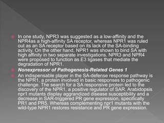 Significance of npr1 receptor | PPTX