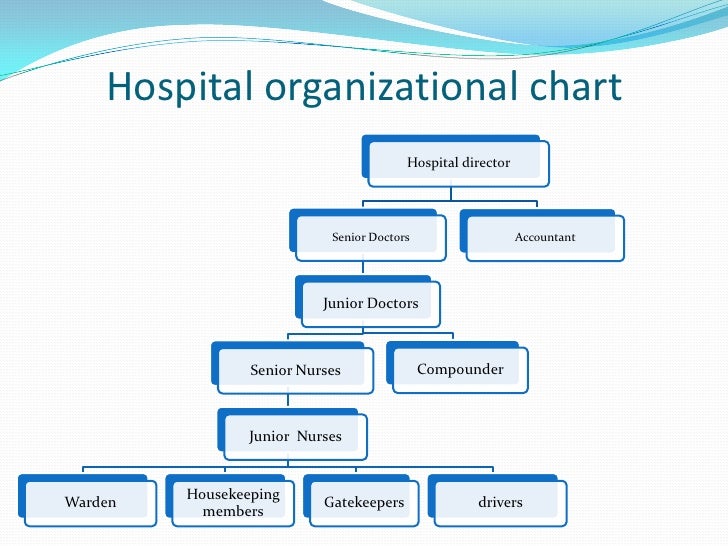 Significance of organizational culture in hospital industry