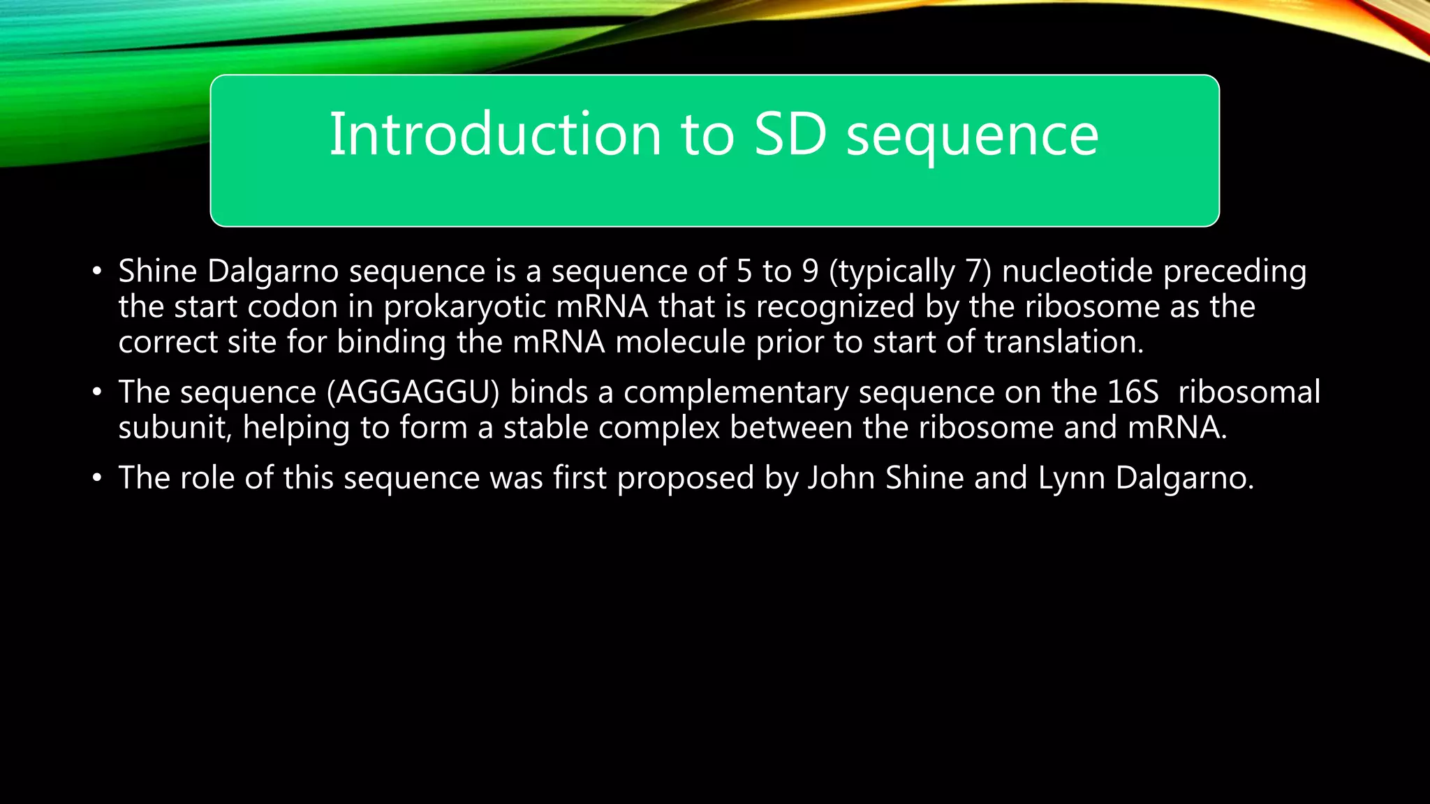 Significance of shine dalgarno sequence | PPTX