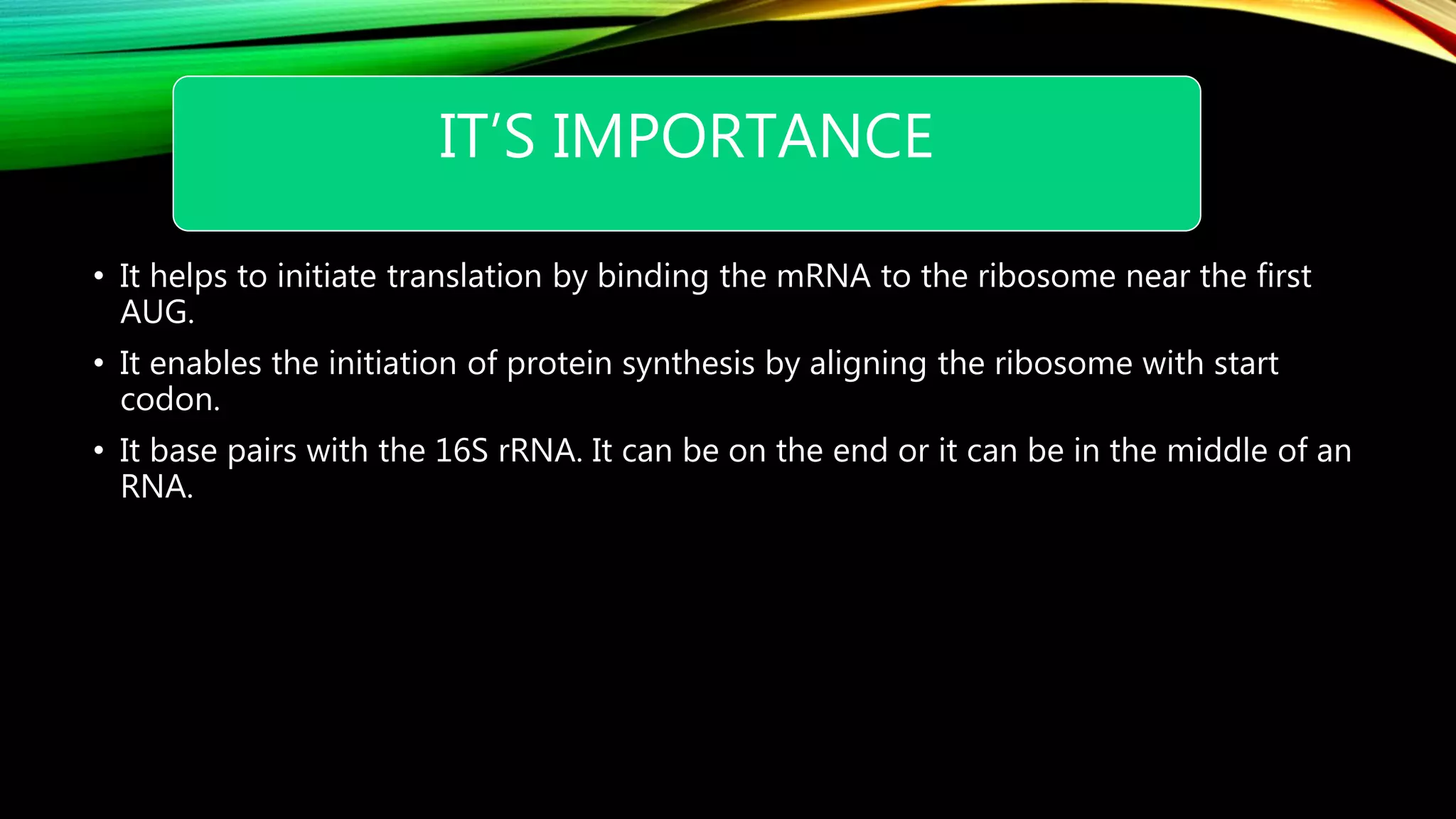 Significance of shine dalgarno sequence | PPTX