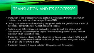 Significance of shine dalgarno sequence | PPTX