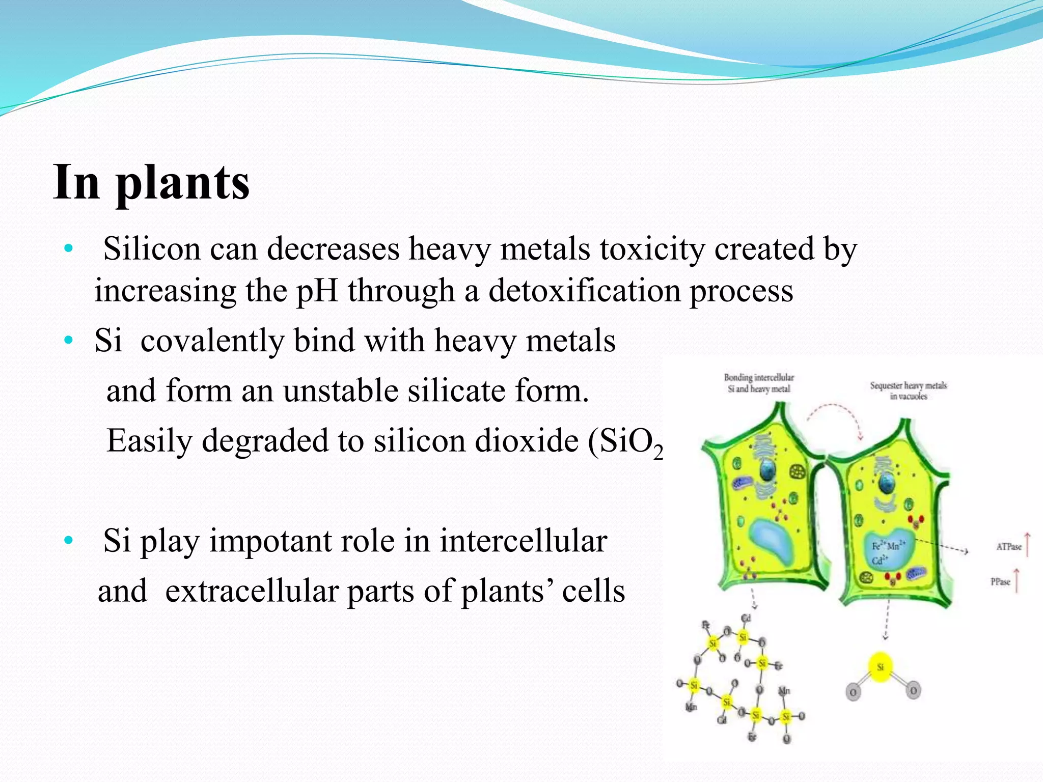 Significance of silicon | PPTX | Chemistry | Science