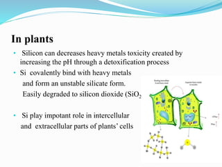 Significance of silicon | PPTX | Chemistry | Science
