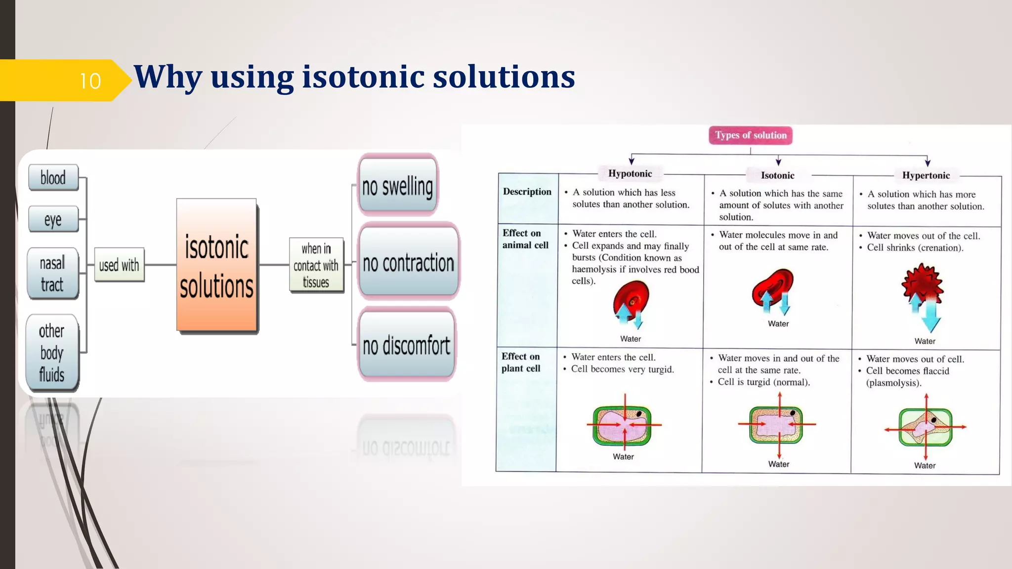 Significance of tonicity adjustment | PDF