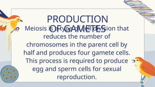 SIGNIFICANCE OF MITOSIS AND MEOSIS.pptx