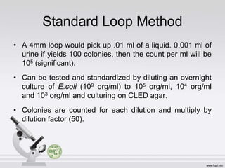 Significant bacteriuria | PPTX