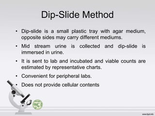 Significant bacteriuria | PPTX