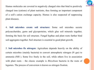 Significance of microorganisms in soil | PPT