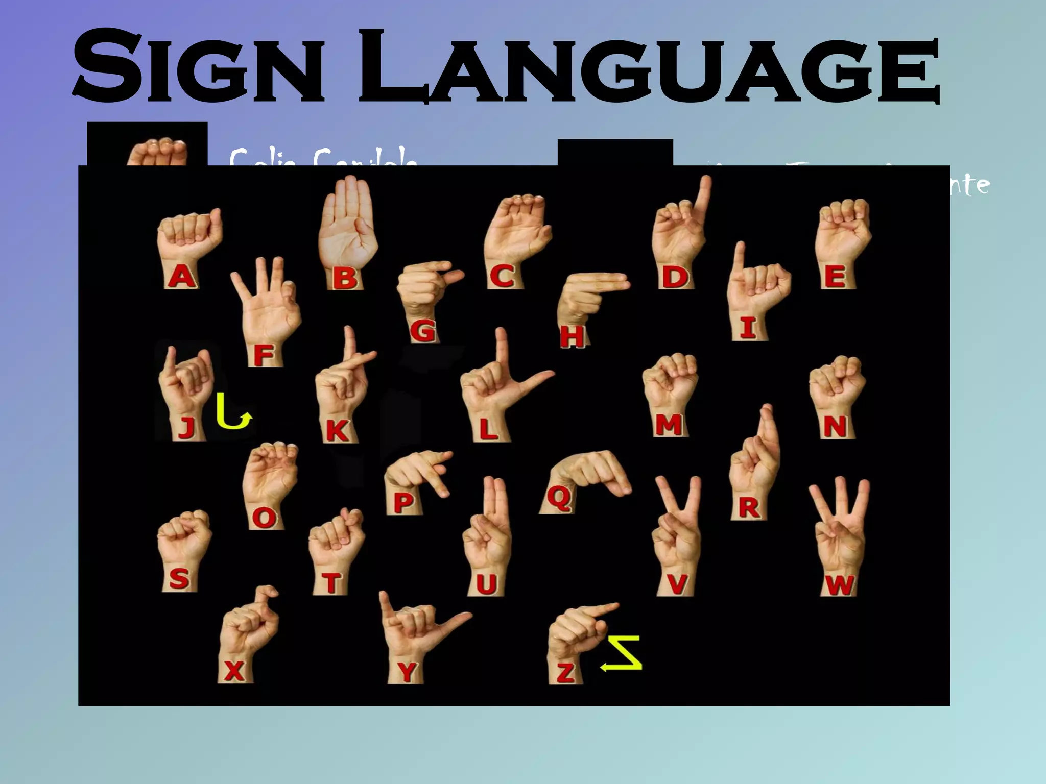 Sign language 1 | PDF