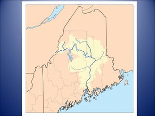 Sign of the beaver | PPT