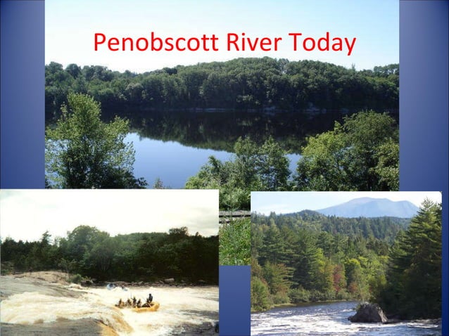 Sign of the beaver | PPT