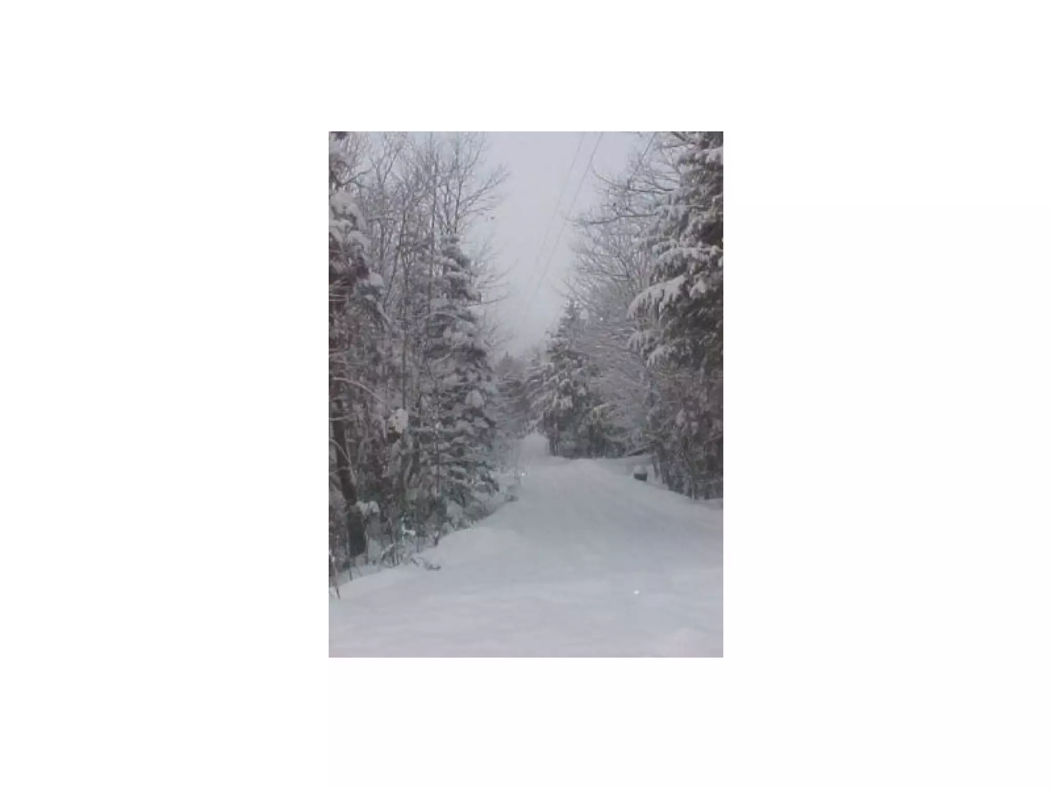 Sign of the beaver powerpoint | PPT