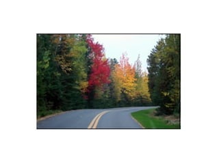 Sign of the beaver powerpoint | PPT