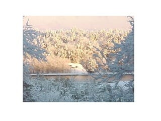 Sign of the beaver powerpoint | PPT