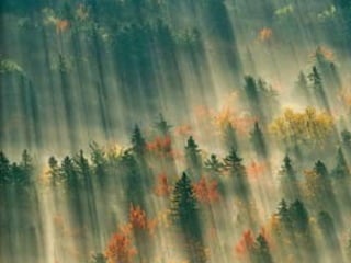 Sign of the beaver powerpoint | PPT