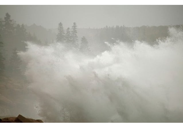 Sign of the beaver powerpoint | PPT