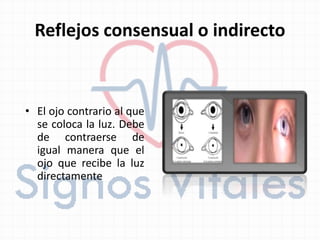 Signos vitales | PPTX