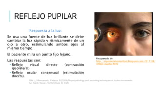 Signos vitales | PPTX