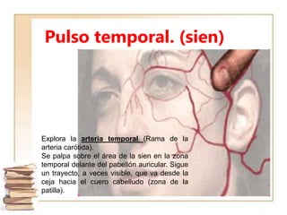 signos-vitales2-160808024940.ppt de enfermeria | PPT