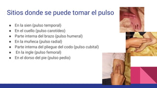 Signos vitales | PPTX
