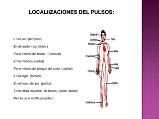 Signos vitales | PPTX