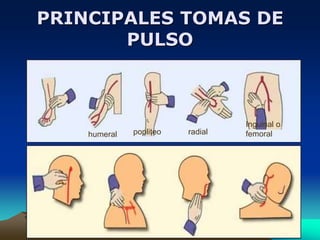 SIGNOS VITALES | PDF