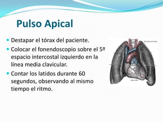 Signos vitales en enfermeria | PPTX