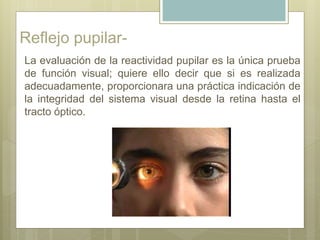 Signos vitales | PPTX