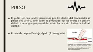 Signos vitales | PDF