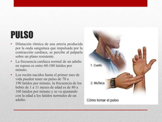 Signos vitales | PPTX