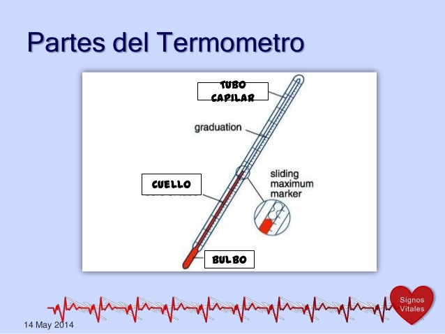 Imagenes del termometro con sus partes - Imagui