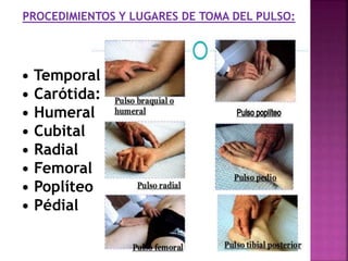 SIGNOS_VITALES.pptx