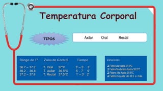 Signos Vitales.pdf